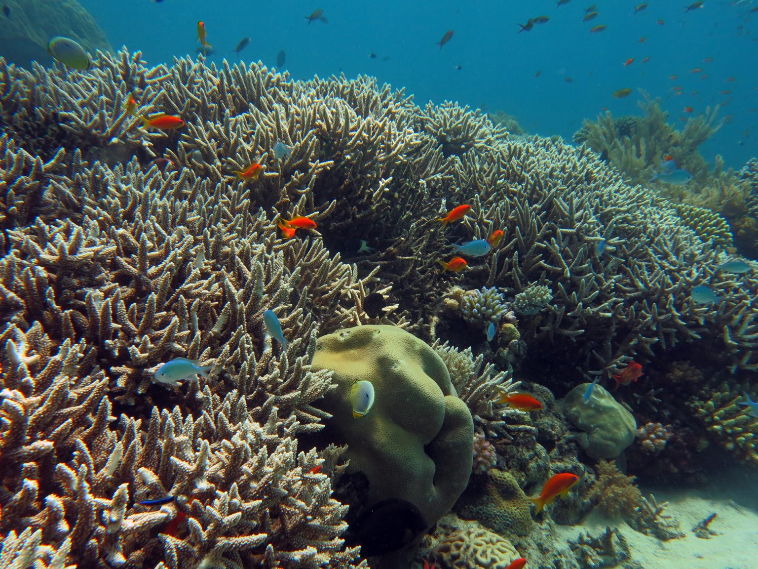 NINE PROJECTS COMBATING MARINE POLLUTION SELECTED AS UNDP OCEAN ...